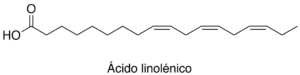 Descubriendo los beneficios del ácido linoleico para tu salud - Es ...