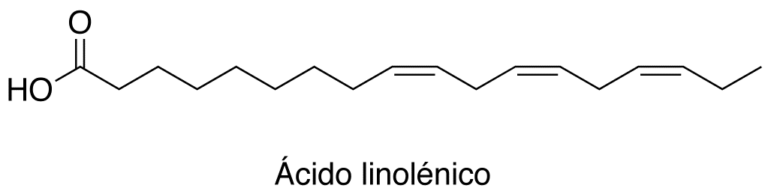 Descubriendo los beneficios del ácido linoleico para tu salud - Es ...