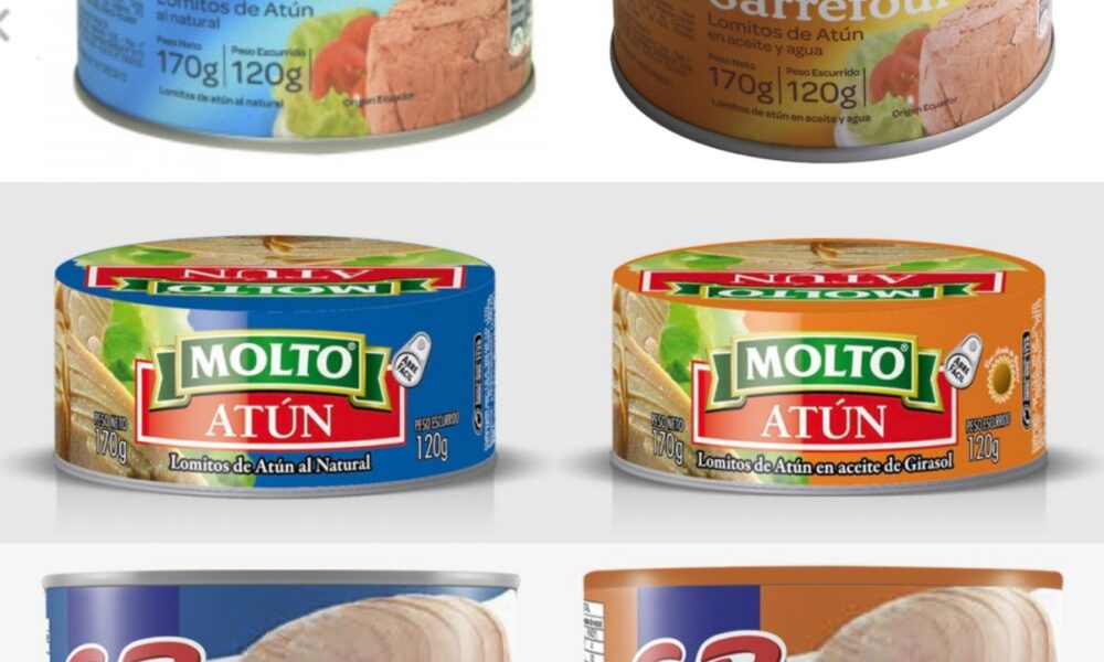 Beneficios del atún en lata para las mujeres embarazadas: todo lo que ...