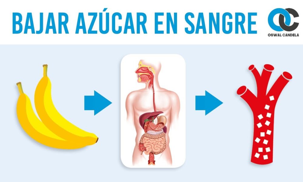 5 consejos para controlar el azúcar en sangre de forma efectiva - Es ...