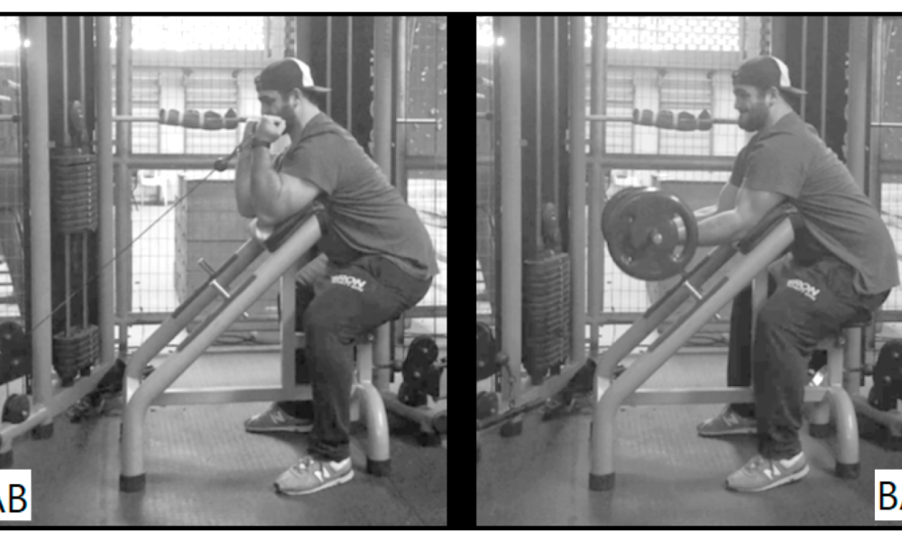 Cómo hacer curls de bíceps con barra de forma efectiva para fortalecer ...