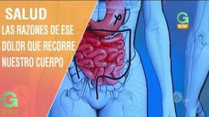 El epigastrio: ¿qué es y por qué es importante para nuestra salud? - Es ...