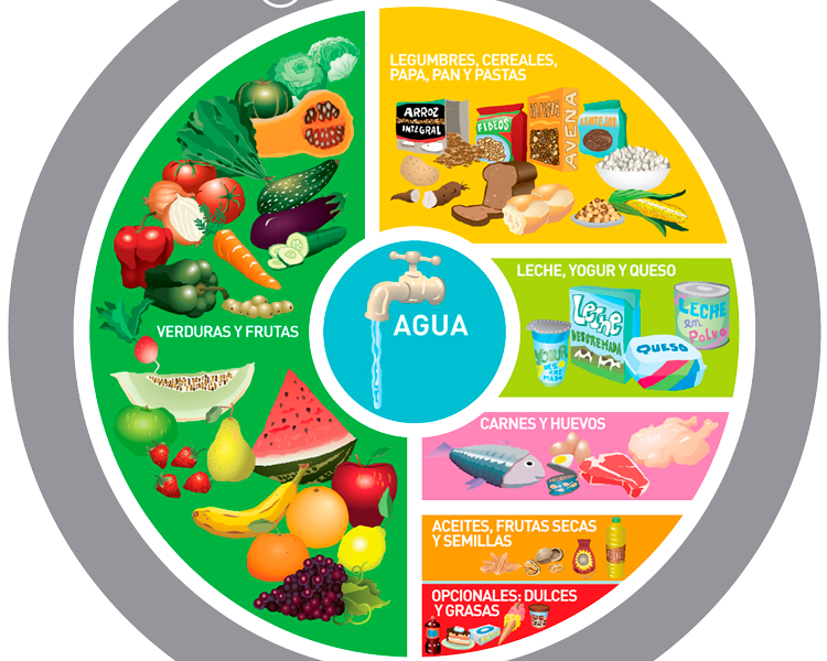 Un ejemplo de dieta saludable para sentirte mejor - Es Nutrición