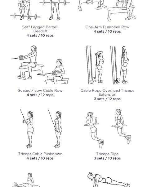 Potencia tu figura con la rutina de ejercicios para bíceps y espalda ...