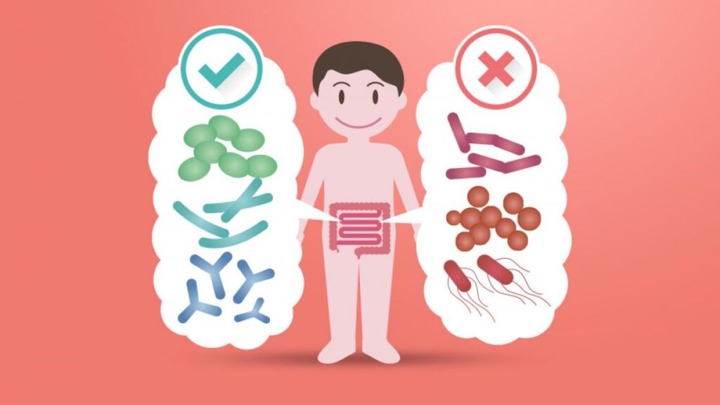 Descubre los alimentos ideales para mejorar tu flora intestinal - Es ...
