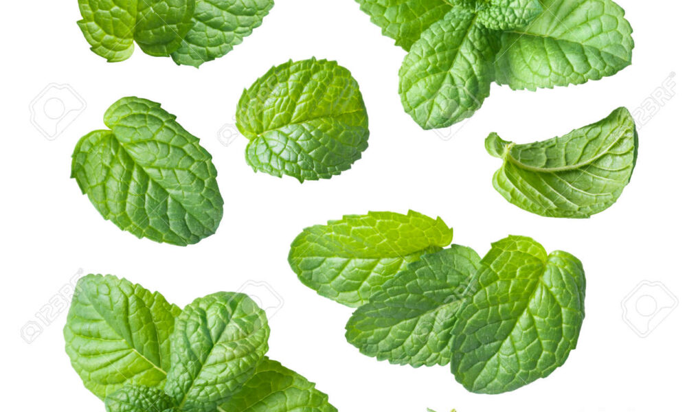 Todo sobre las hojas de menta - Es Nutrición