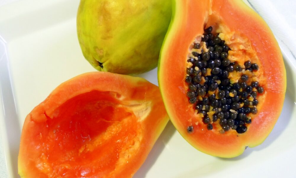 Descubre todo sobre la papaya: beneficios, propiedades y cómo ...