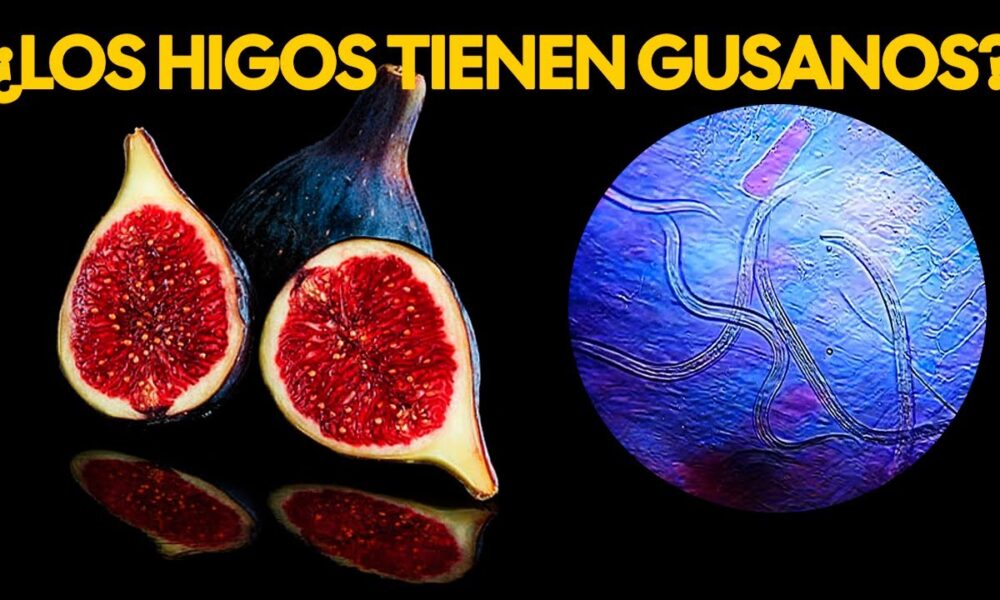 Cómo los higos pueden ayudarte a aliviar el estreñimiento de manera ...