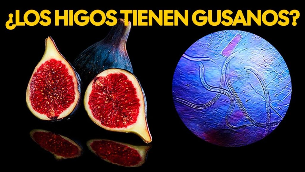 Cómo los higos pueden ayudarte a aliviar el estreñimiento de manera ...