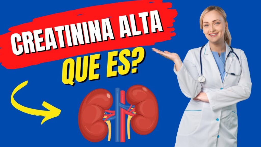 Comprendiendo la creatinina baja: Causas, síntomas y cómo abordar este ...