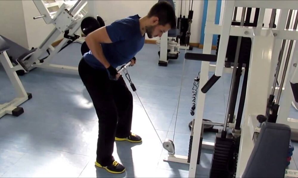 Mejora tu fuerza y equilibrio con el remo en polea unilateral - Es ...