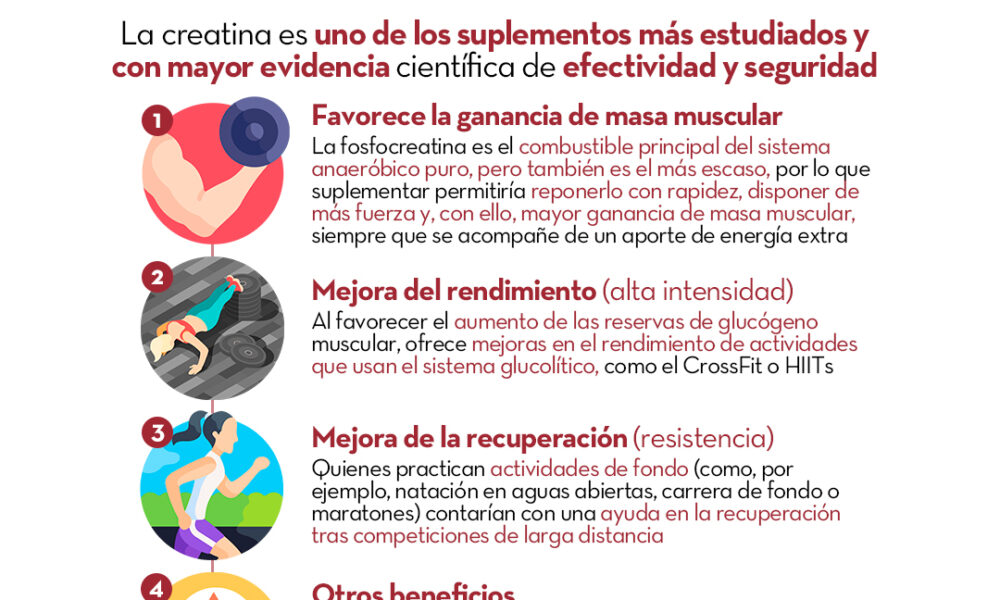 Pull over con polea alta: El ejercicio perfecto para fortalecer la ...