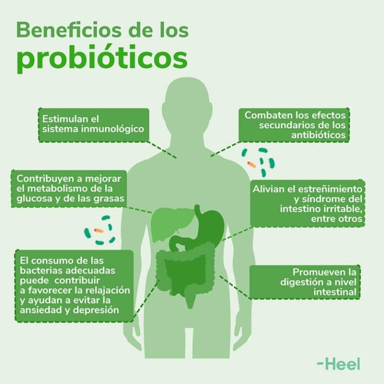 Descubre todo lo que debes saber sobre los probióticos para tu salud ...