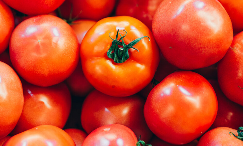 Descubre todo lo que necesitas saber: ¿Qué es el tomate y cuáles son ...