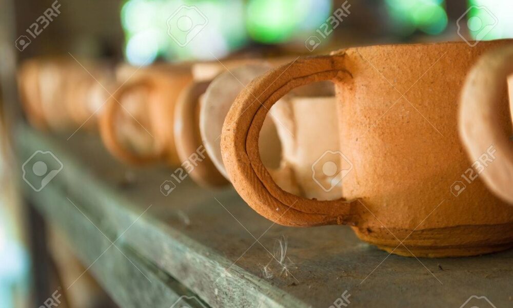 Descubre las verduras con más proteína para una alimentación saludable ...