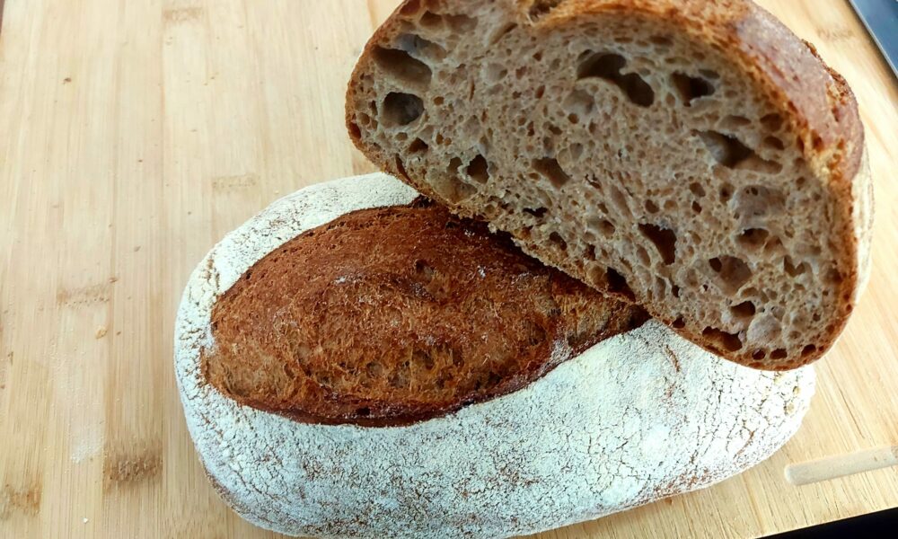 Qué es el bolo alimenticio: todo lo que necesitas saber para una buena ...